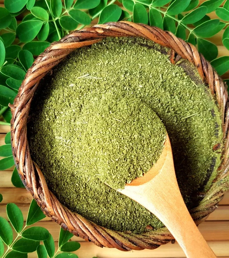 World Mart Export || Moringa Leaves Powder || GOGAJI International